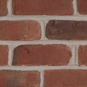 Mt Rushmore Thin Brick - State Material Mason Supply